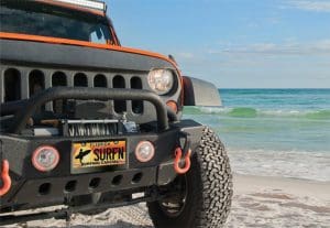 Endless Summer Plate - Preserve Surfing Beaches